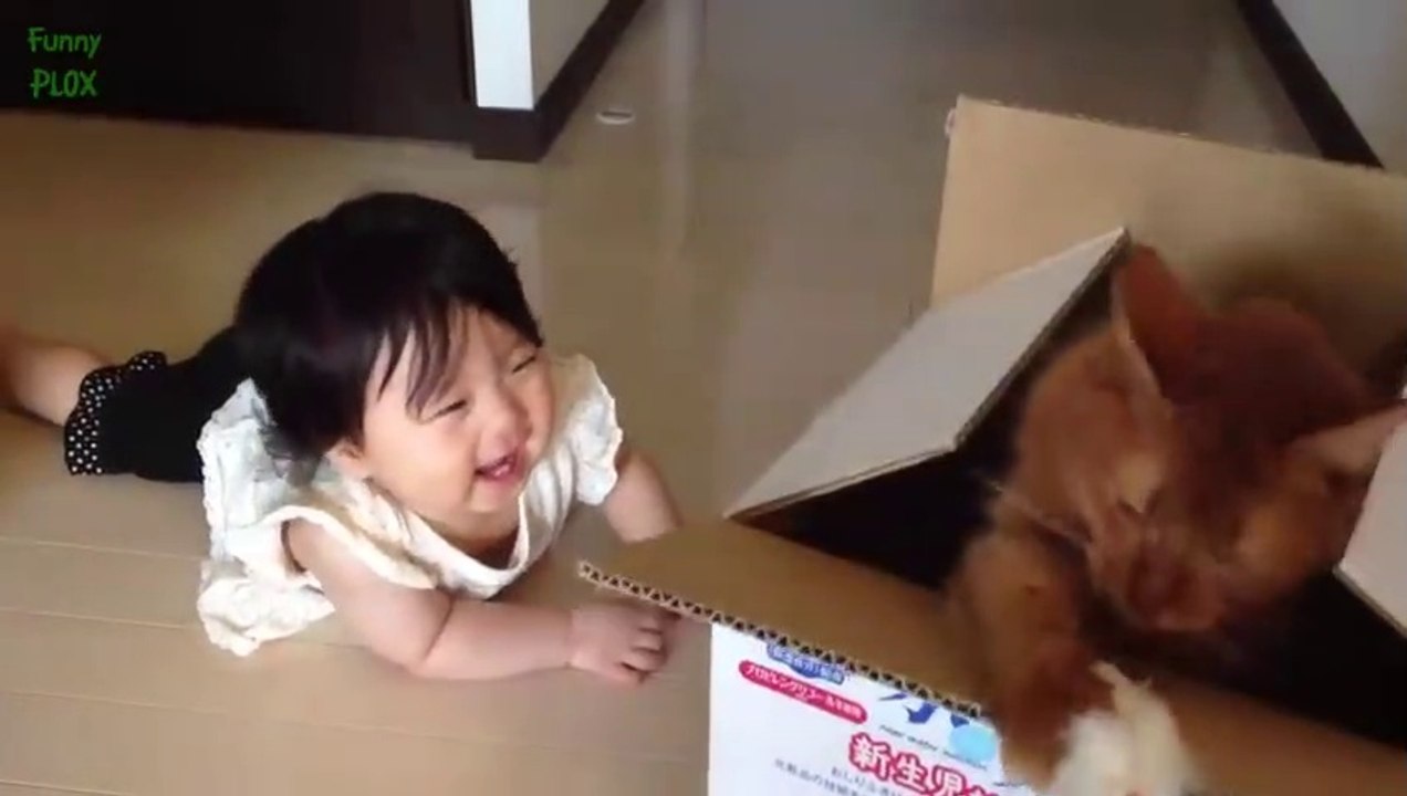 Funny Babies Laughing Hysterically at Cats Compilation (2023) - video Dailymotion