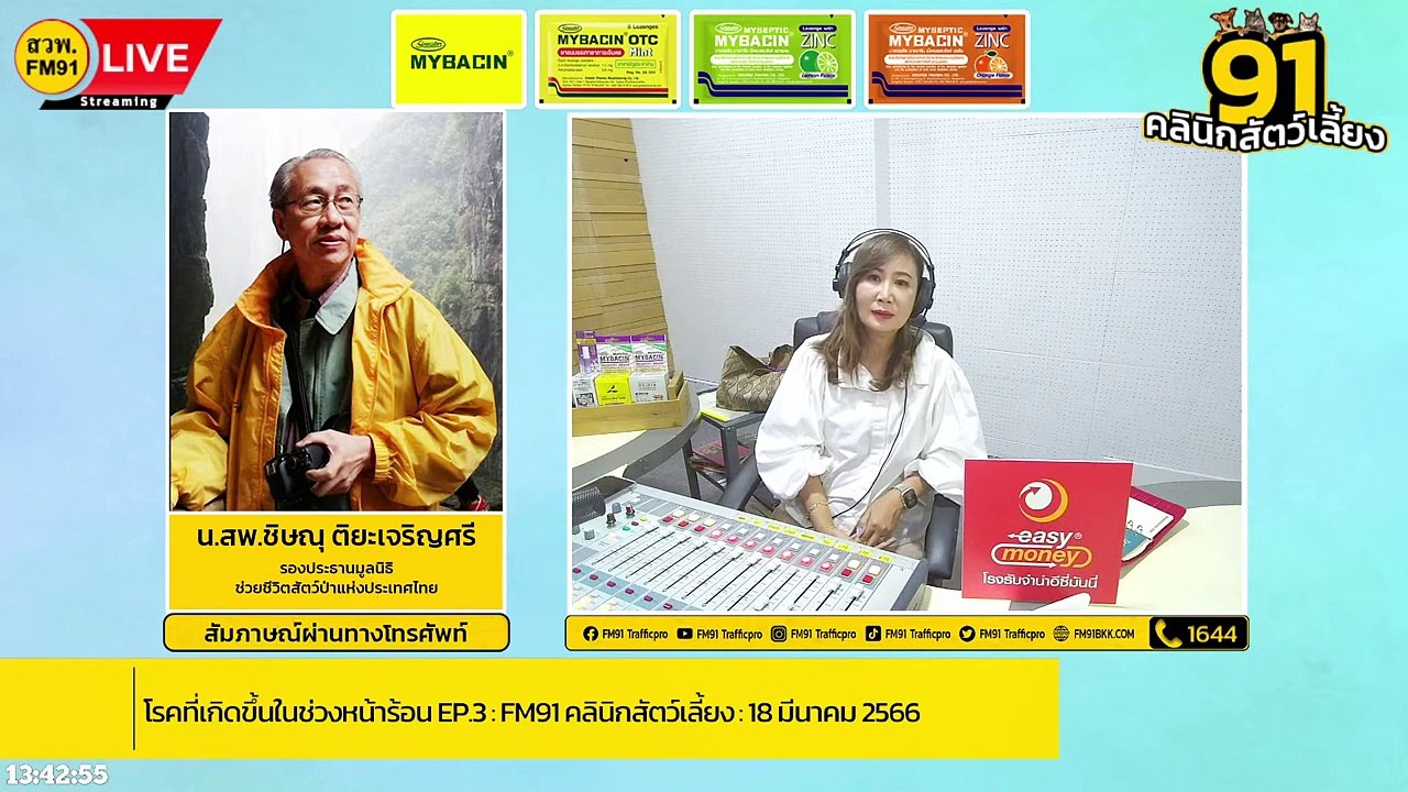 โรคที่เกิดขึ้นในช่วงหน้าร้อน EP.3 : FM91 คลินิกสัตว์เลี้ยง : 18 มีนาคม 2566 - video Dailymotion