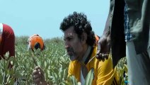 Kaliman, el siniestro mundo de Humanon - Película completa con Jeff ...