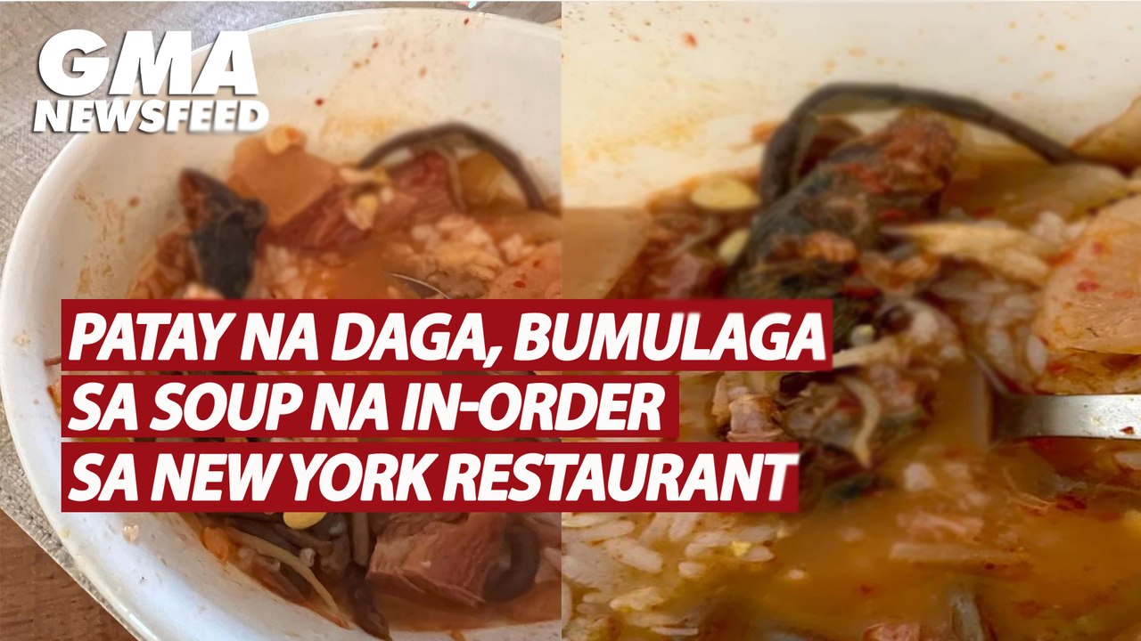 Patay na daga, bumulaga sa soup na in-order sa New York restaurant ...