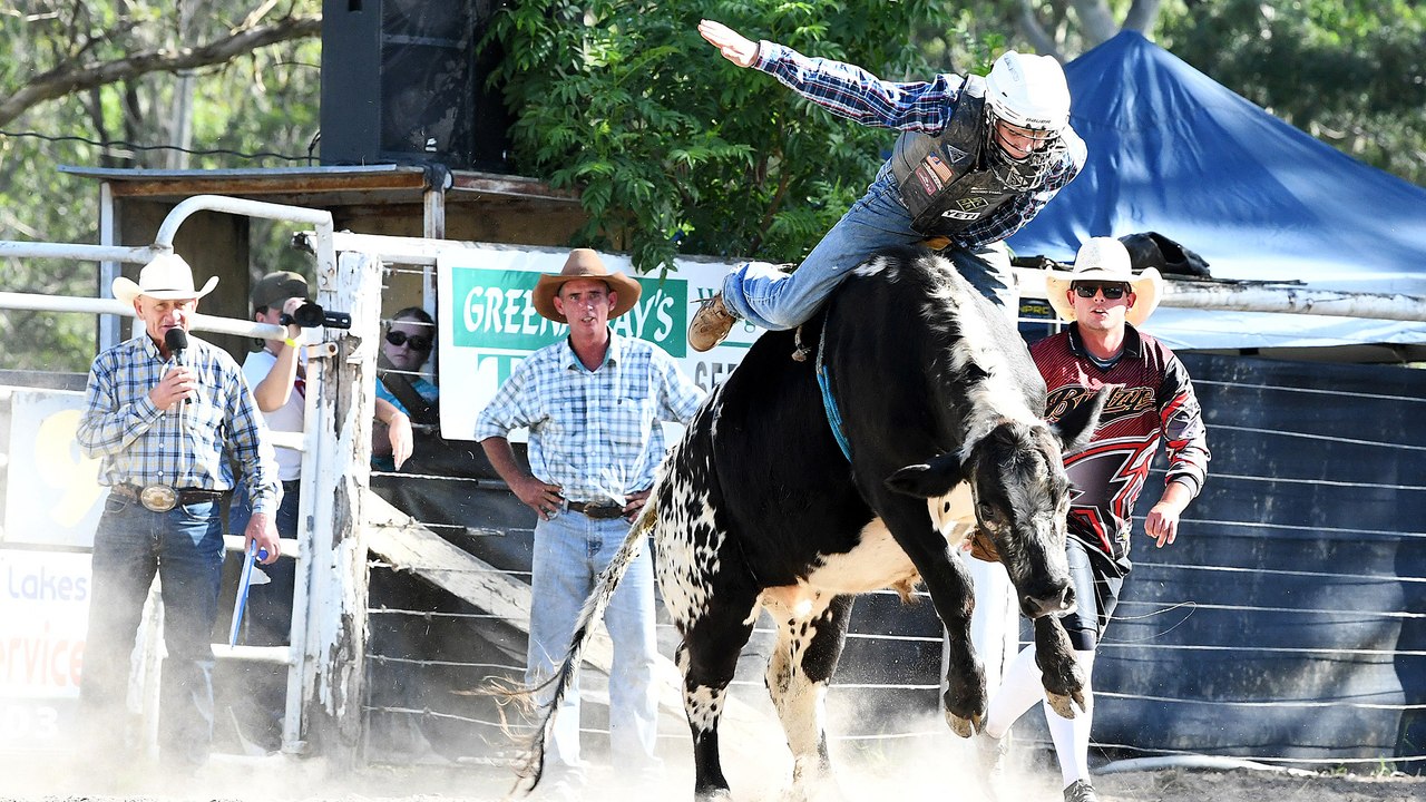 Steer riding at the Wingham Show Rodeo - video Dailymotion