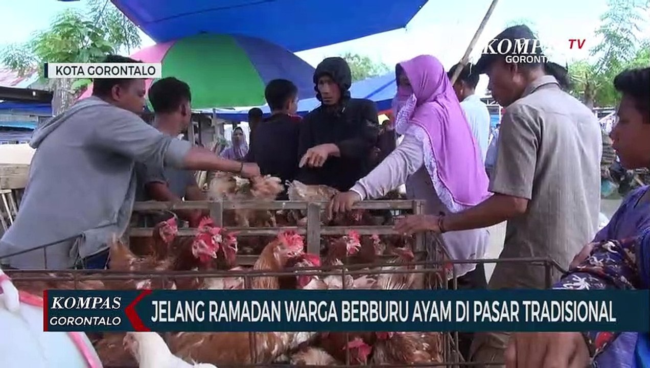 Sehari Jelang Ramadan Warga Gorontalo Berburu Ayam di Pasar Tradisional ...