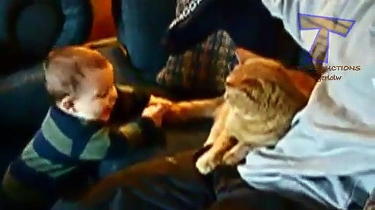 Funny babies annoying cats - Cute cat & baby compilation (2) - Vidéo ...