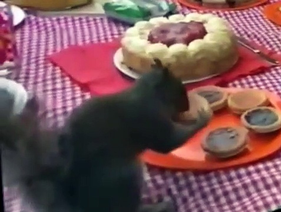 Brum Brum E004 The Mower - video Dailymotion