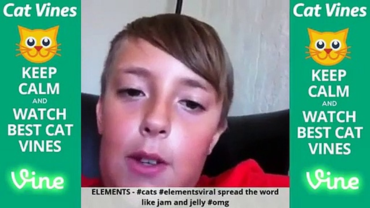 Best Funny Cat Vines Compilation #14 - Vidéo Dailymotion
