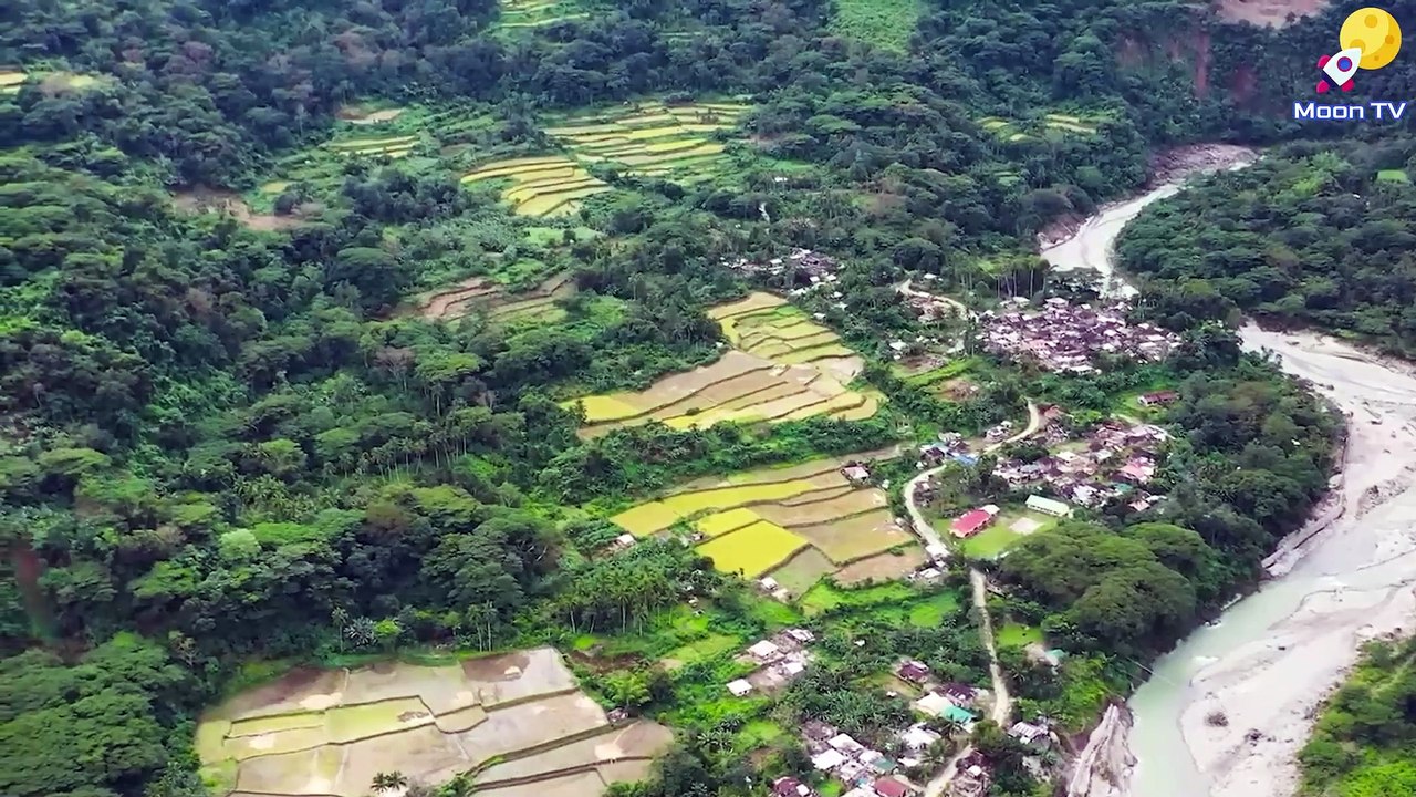 Mindfulness Meditation Music for Serenity - video Dailymotion