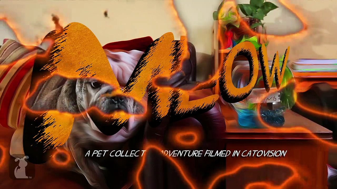 Katy Perry - Roar Parody - Kitty Purry - Meow - Vidéo Dailymotion