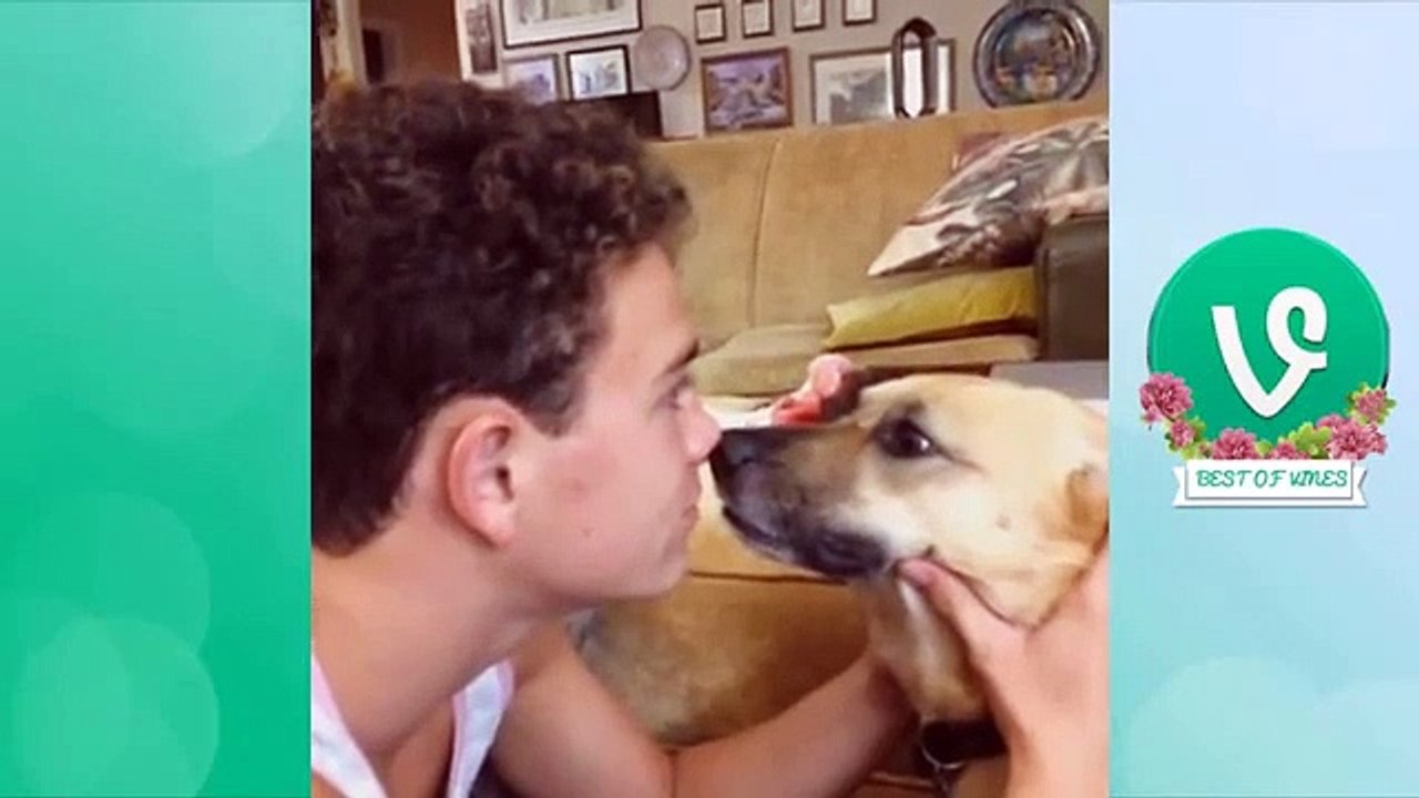 Best Funny Dog Vines 2015 PART 2 (4) - Vidéo Dailymotion