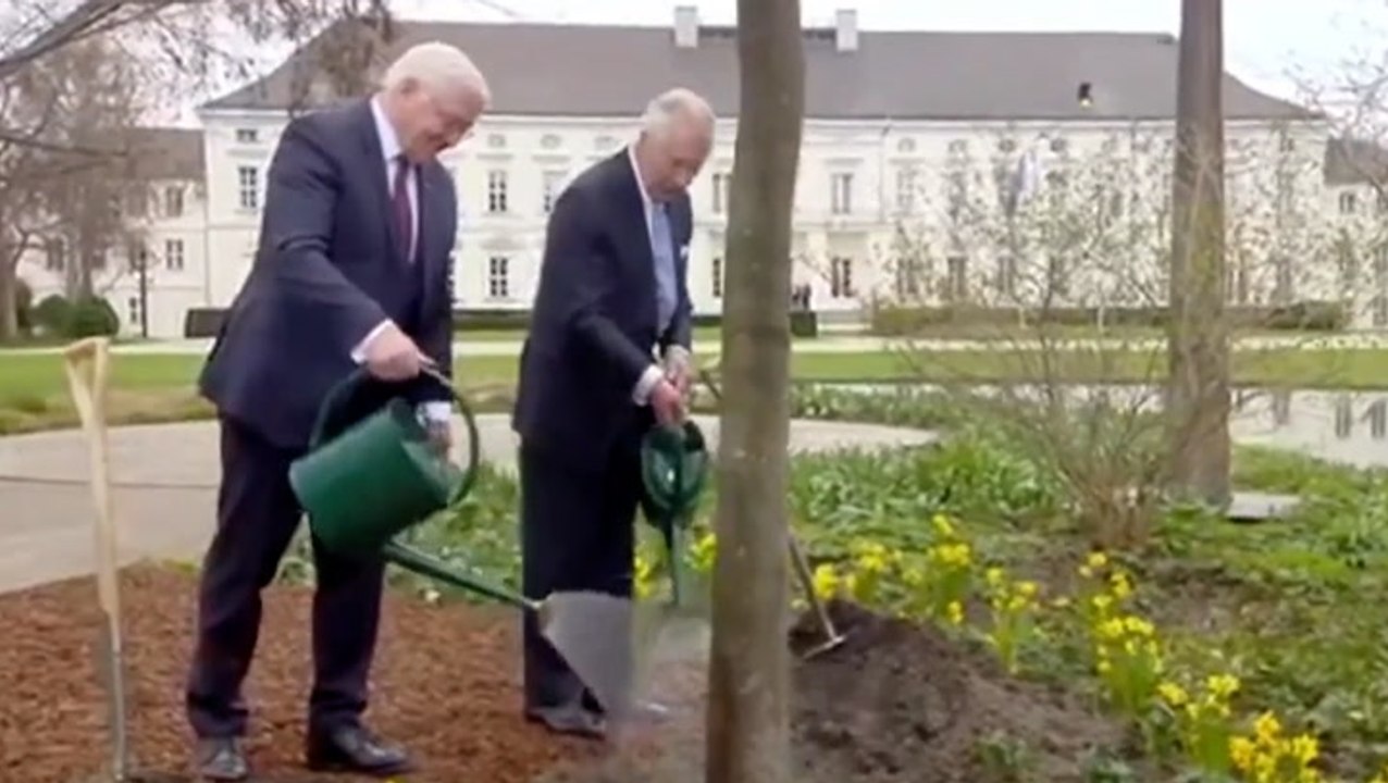 King Charles plants tree in memory of Queen with German president during Berlin visit - video ...