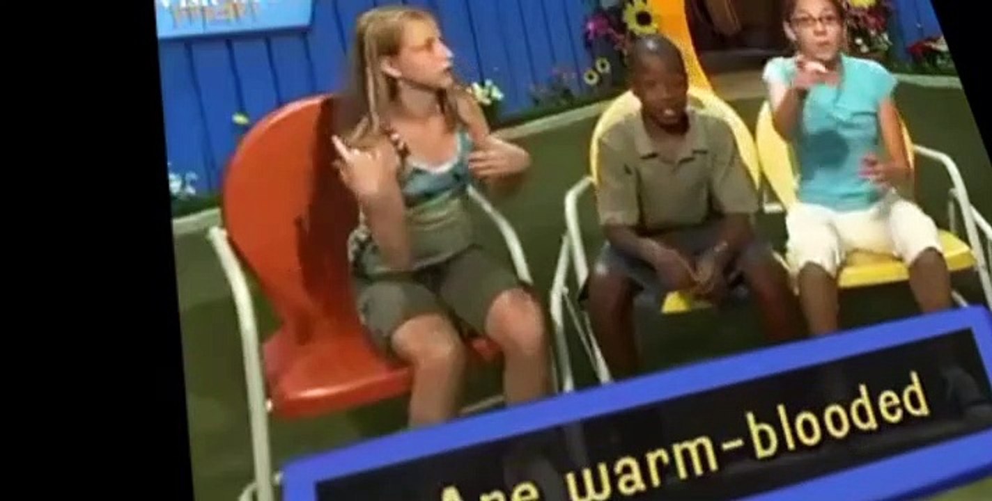 Fetch! with Ruff Ruffman Fetch with Ruff Ruffman S02 E008 - video ...