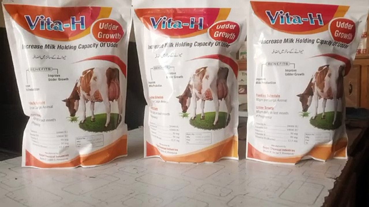 My_New_vlog_No_8_Dr_Kashif_Akram_office_Vita_H_udder_Growth(360p ...