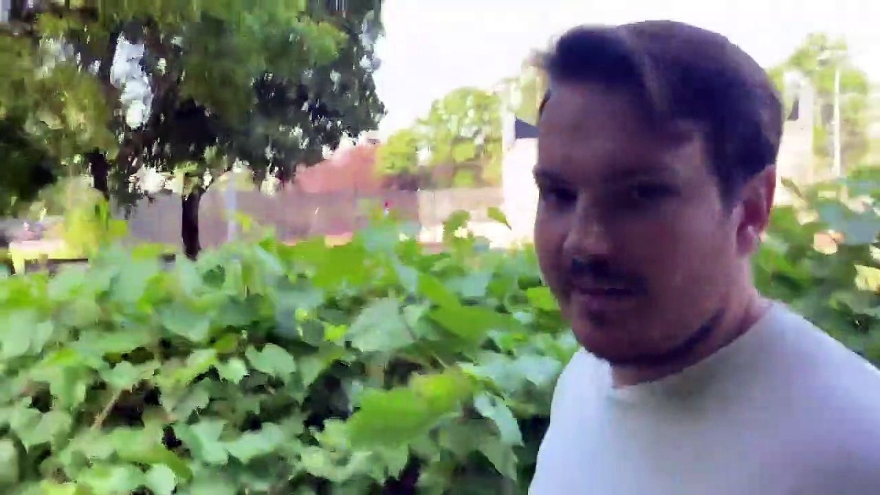 Montreal's Hidden Endless Wave | Hidden Montreal - video Dailymotion