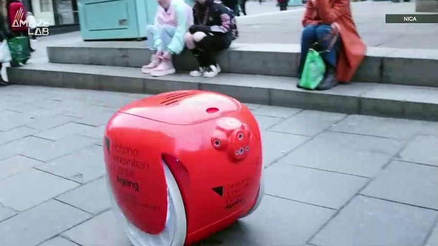 Introducing This Little Robot Companion That Will Give You a Helping ...