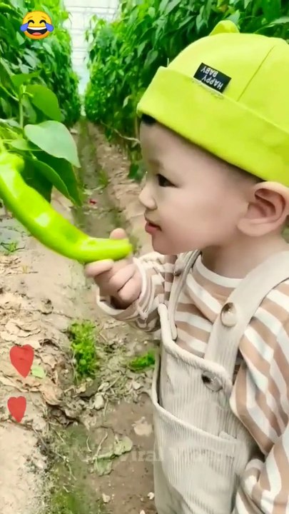 Cute babye video - video Dailymotion