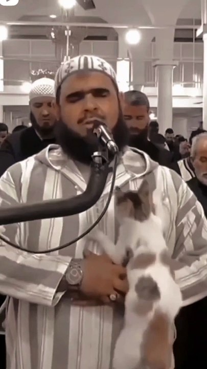 Cat playing with imam during reciting Quran/Taraweeh Imam and a cat ...