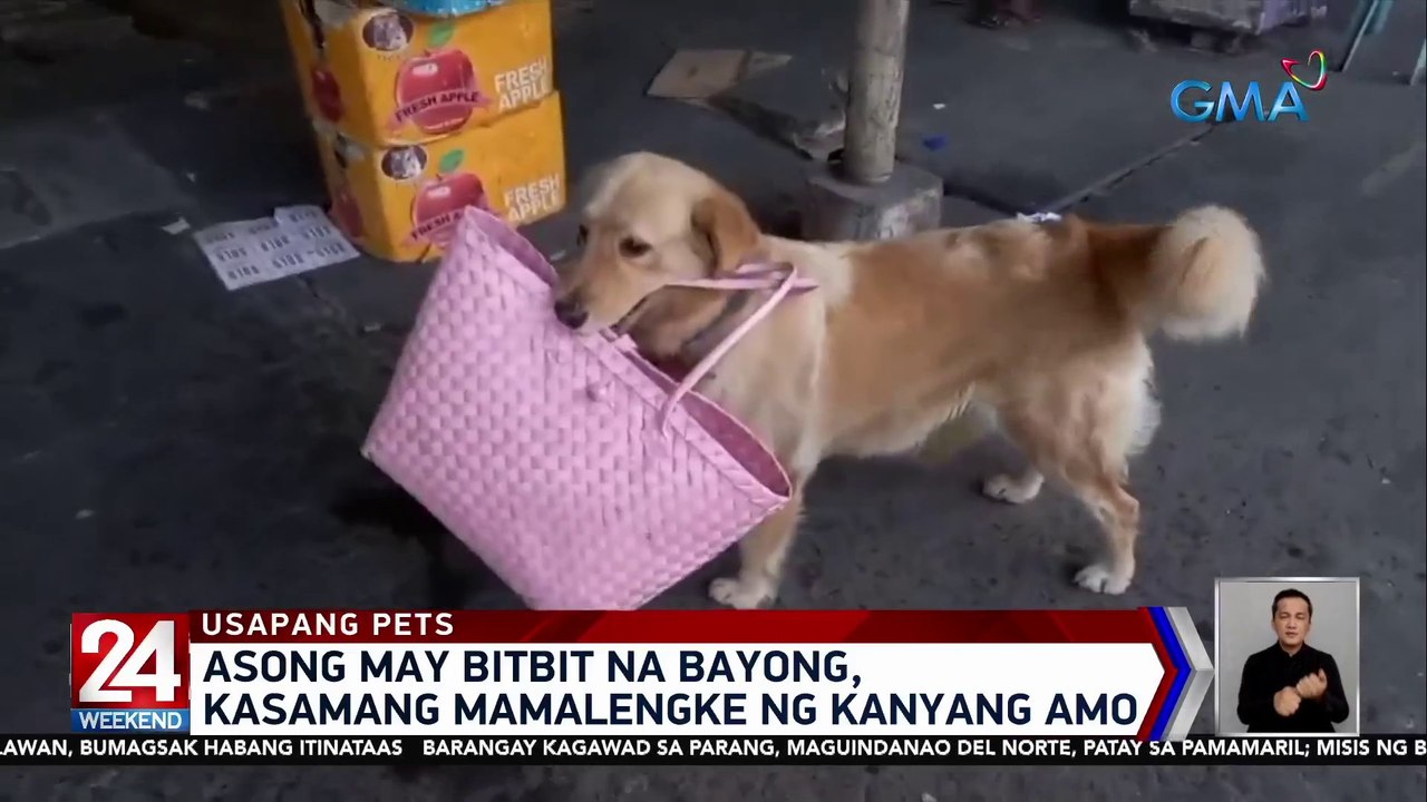 Asong may bitbit na bayong, kasamang mamalengke ng kanyang amo | 24 ...