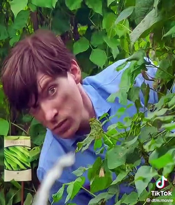 Peter Rabbit/ new movie 2023/ Rabbit loyality - video Dailymotion