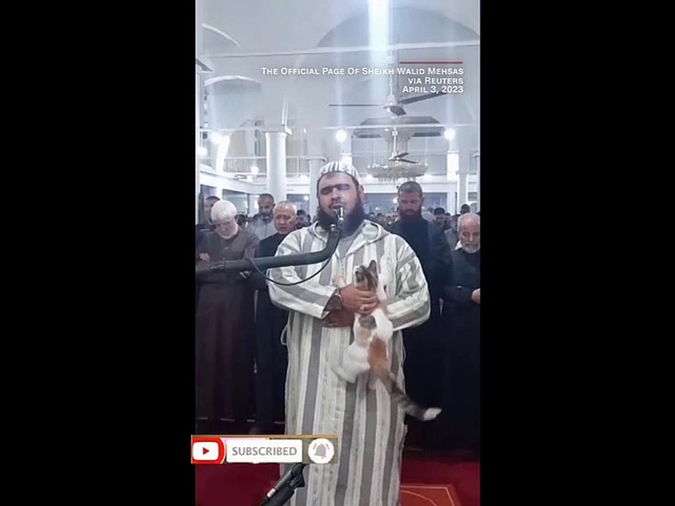 imam cat viral video - video Dailymotion