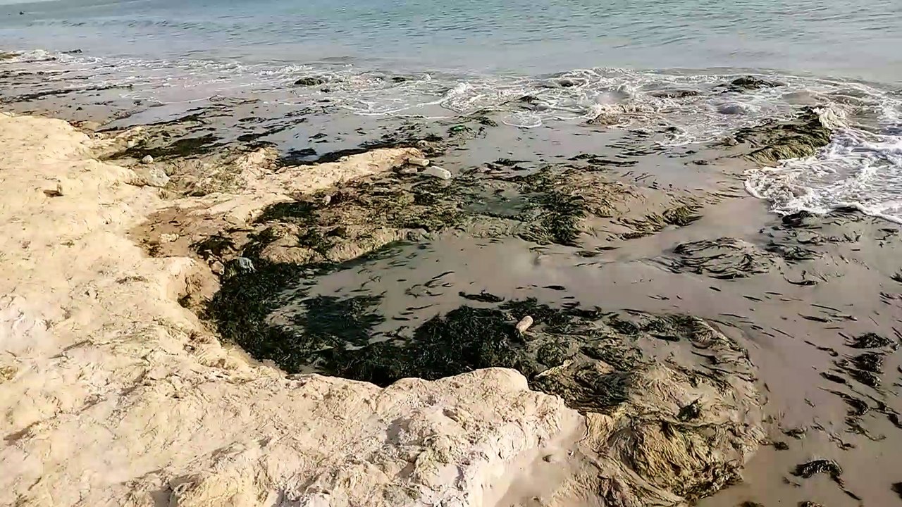 Dakar: La Plage de grand Mbao est très sale...alerte - Vidéo Dailymotion