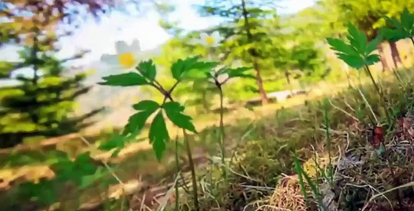 Ask the StoryBots - S03 E007 - Where Does Chocolate Come From - video ...