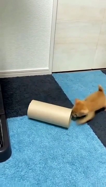 Keep Rolling Rolling, Keep Rolling Rolling - Video Dailymotion