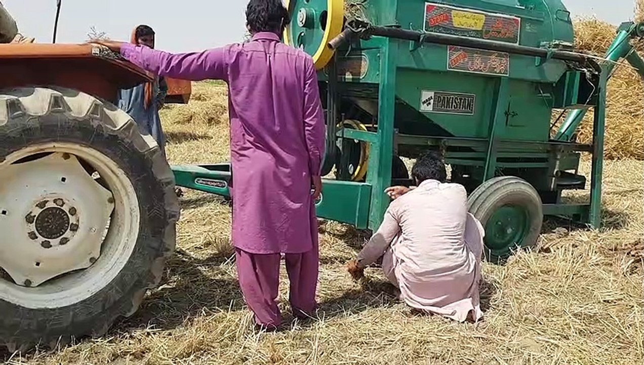 Wheat Harvesting Method | wheat harvesting process | Wheat harvesting ...