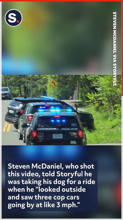 Escaped Emu Safe at Home After Police Chase in East Tennessee - video ...