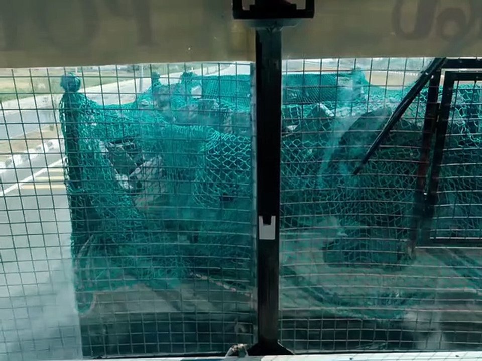 SUPER HIT HINDI DUB SOUTH MOVIE - video Dailymotion