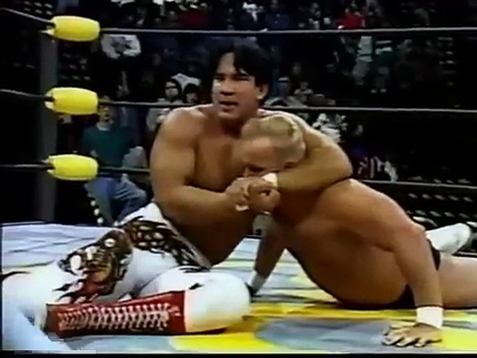 “Stunning” Steve Austin vs. Ricky “The Dragon” Steamboat - video ...