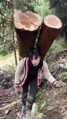 قائمة Movies All بواسطة StarVision TV Channel‬‏ - Dailymotion