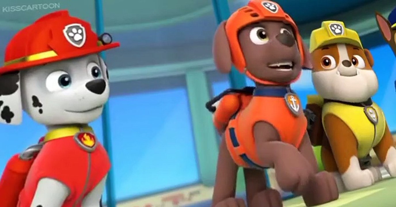 Paw Patrol: Marshall & Chase on the Case Paw Patrol: Marshall & Chase ...