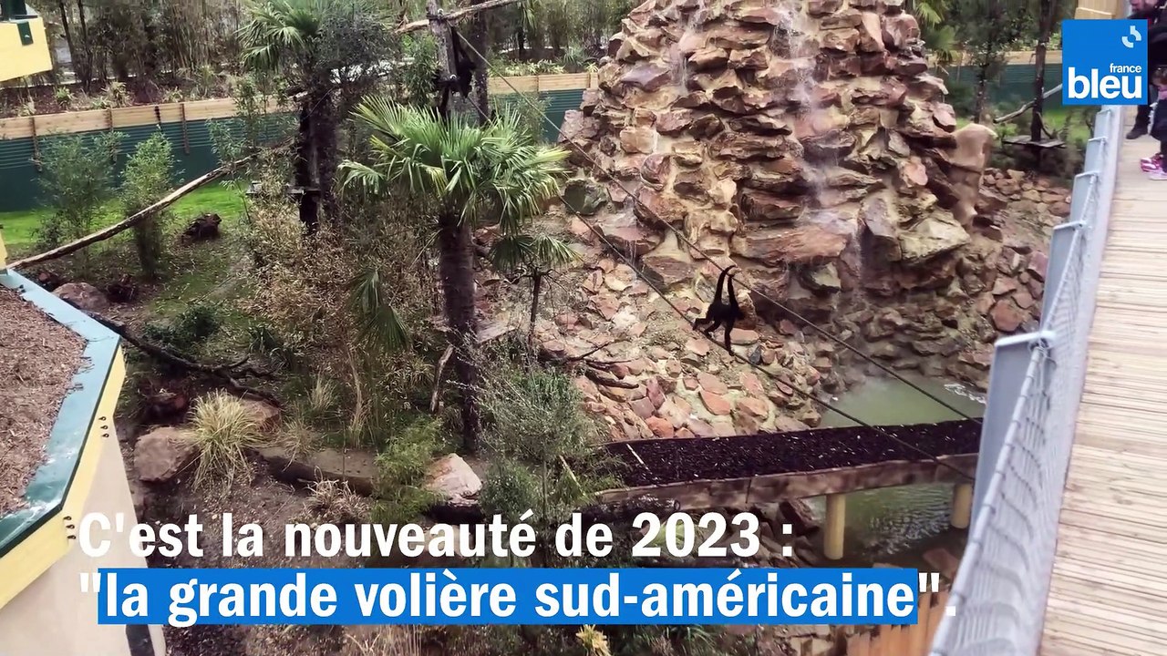 La grande volière du ZooParc de Beauval - Vidéo Dailymotion