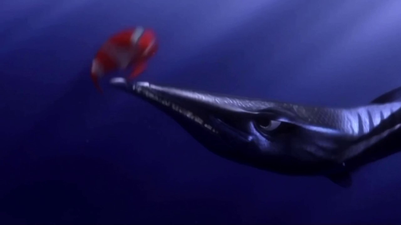 Pixar's Finding-Nemo (2003) - Barracuda Attack (Scene) - video Dailymotion
