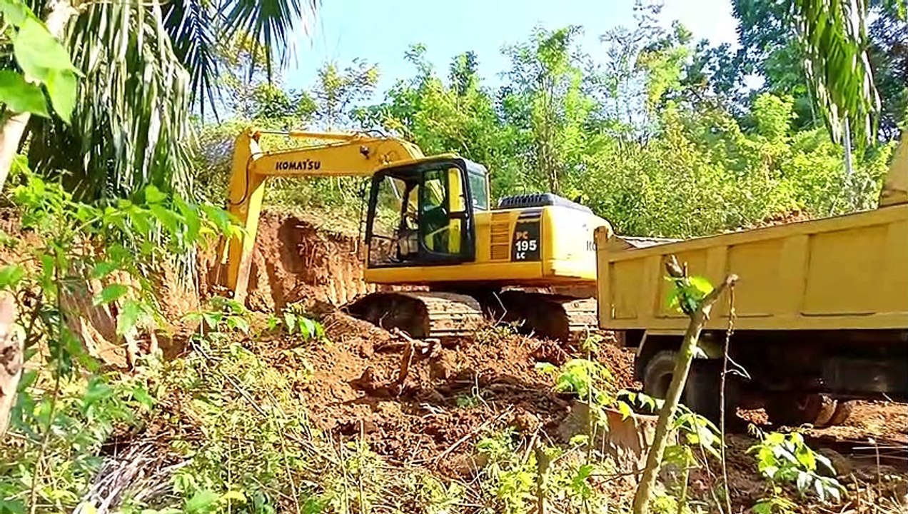 Komatsu PC 195 LC Dump Truck Excavator Takes Land in Plantation - video Dailymotion
