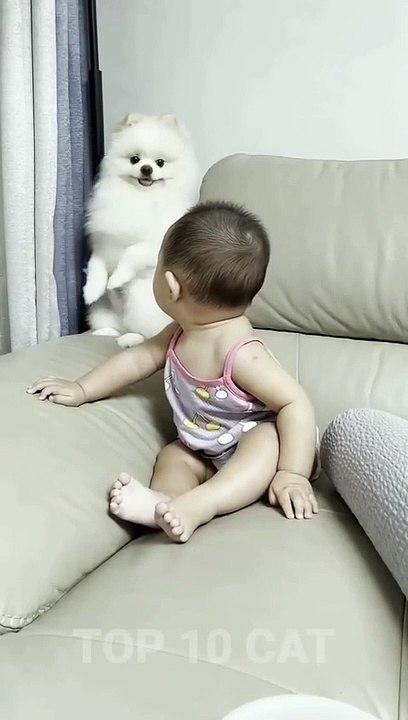 _shorts ---- Cute Dog and baby(480P) - video Dailymotion