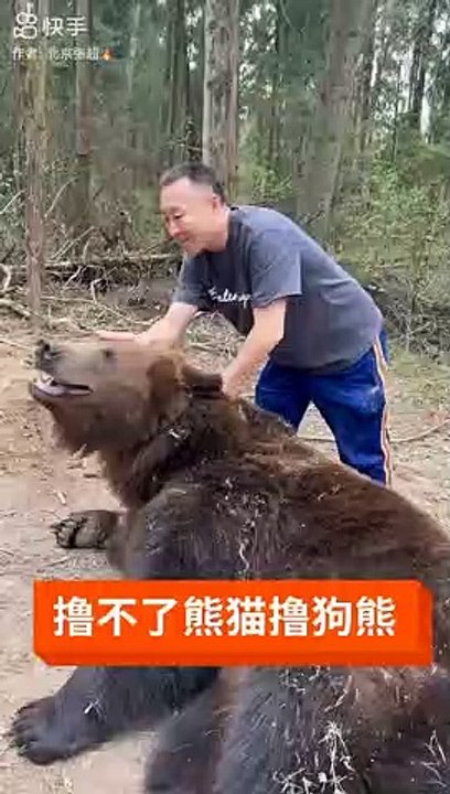 Man vs bear | bear vs human - video Dailymotion