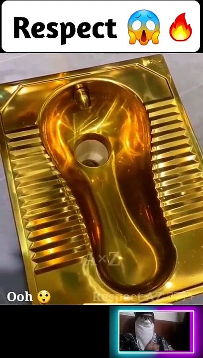 Amazing Gold Toilet Respect - video Dailymotion