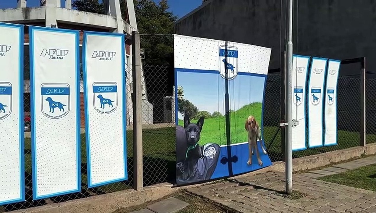 En el Día del Animal, la Aduana jubiló a 14 canes - Vídeo Dailymotion