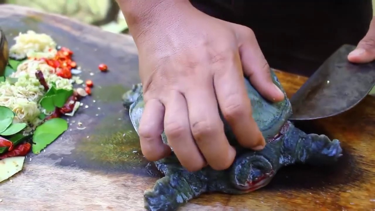 {Graphic} Soft Shell Turtle Clean - Cooking soft Shell Turtle Tasty ...