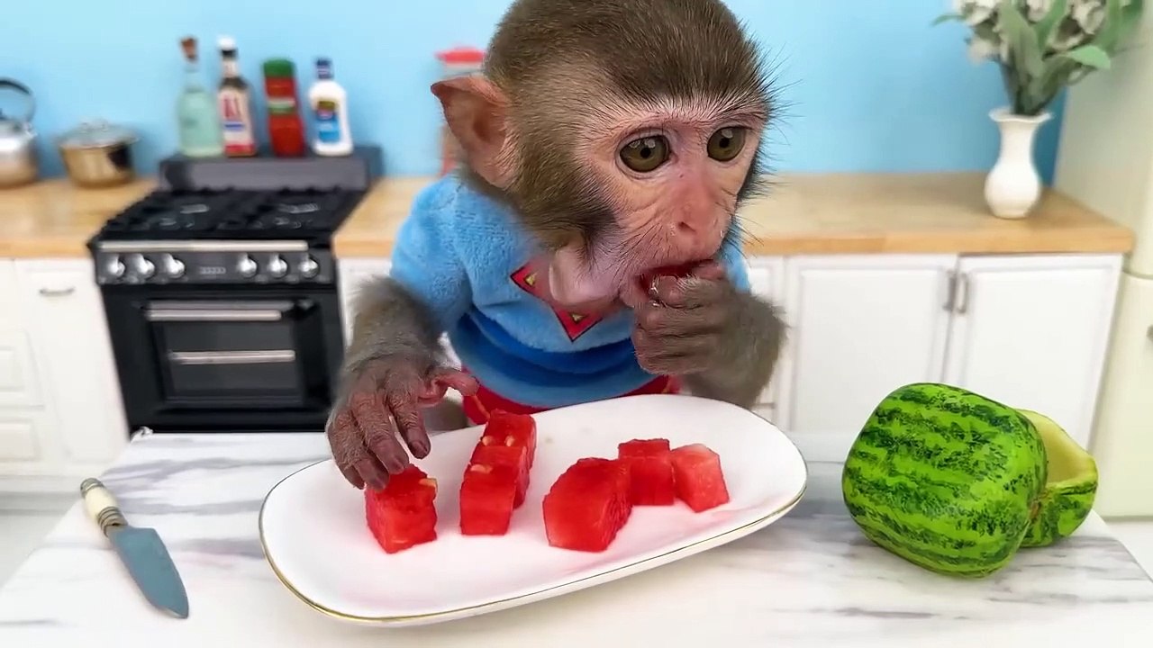 Monkey Baby Bon Bon moves into new house and funny Baby Videos - video ...