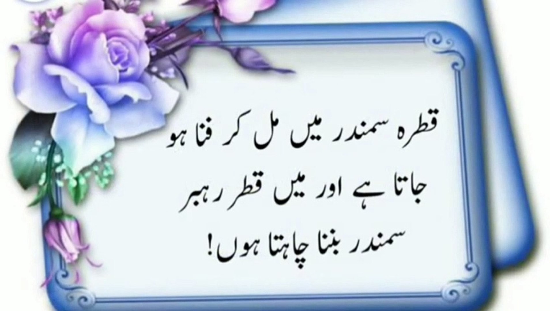 Urdu Latest Quotes
