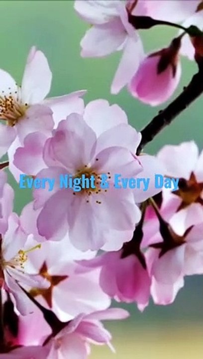 %23Hamd_-_Every_Night___Every_Day.............%23Youtube_Shorts ...