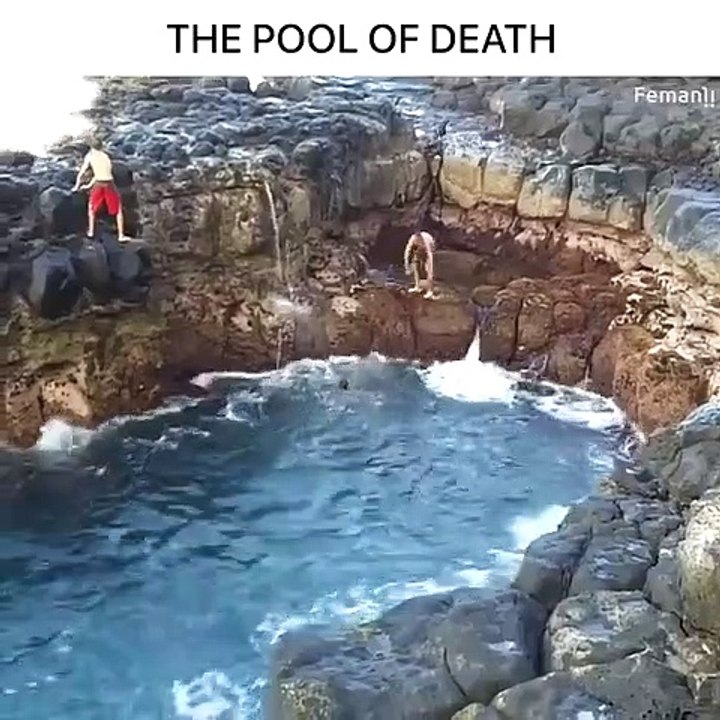 The pool of death Scary - video Dailymotion