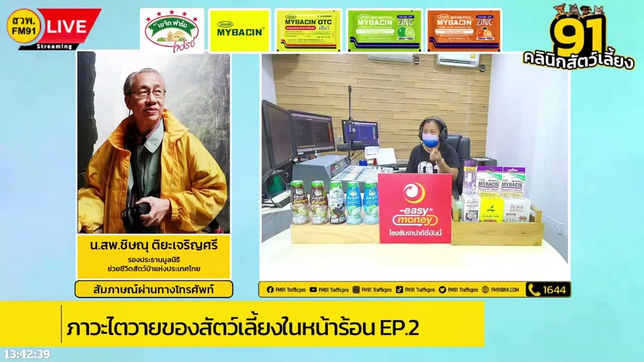 ภาวะไตวายของสัตว์เลี้ยงในหน้าร้อน EP.2 : FM91 คลินิกสัตว์เลี้ยง : 7 พฤษภาคม 2566 - video Dailymotion