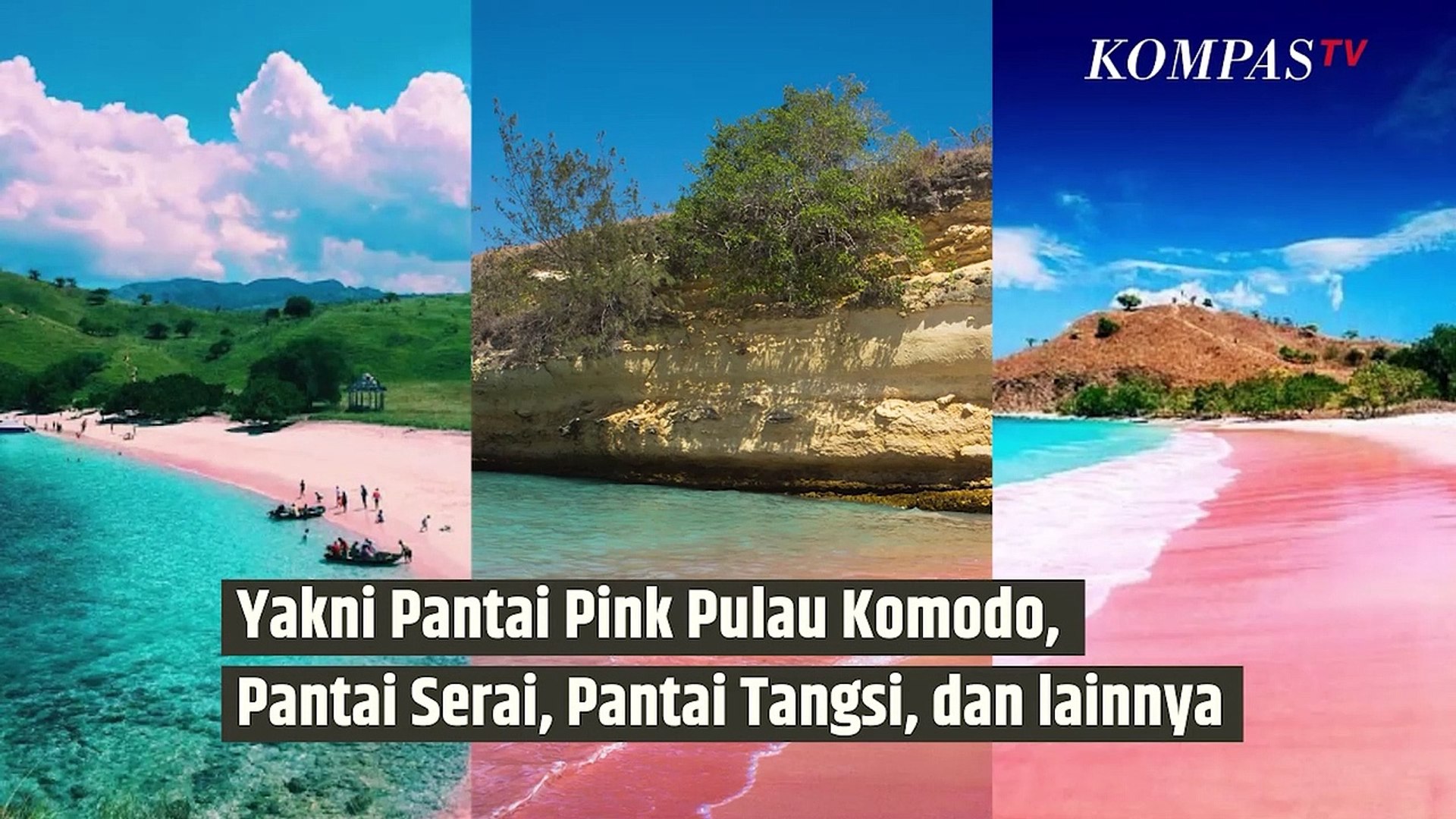 Pulau Komodo Pasir Pink