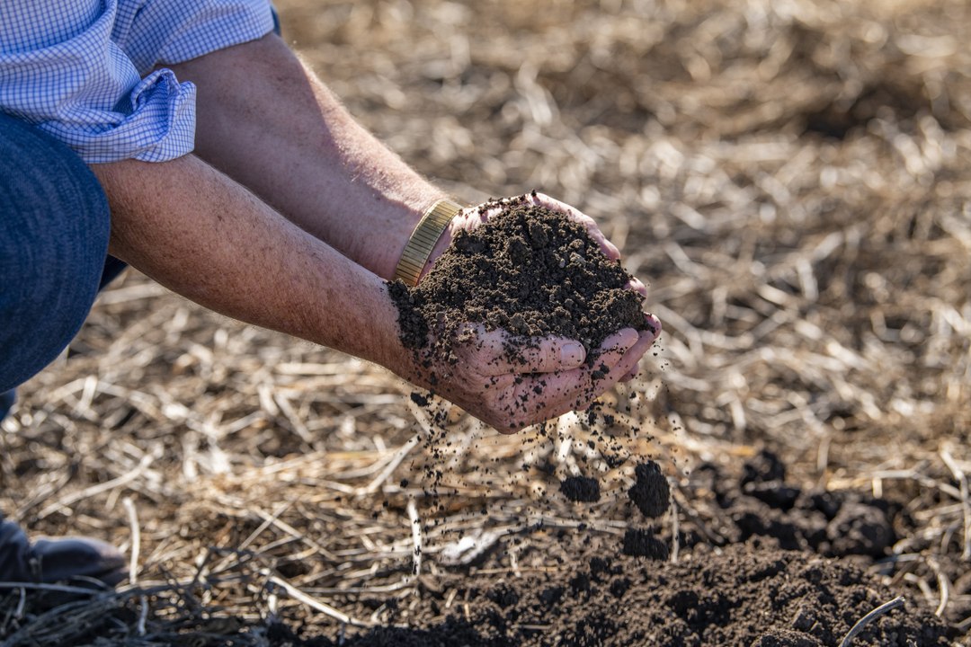 Lockrose Farm, Lockyer Valley, Qld - May 12, 2023 - Farmonline - video ...