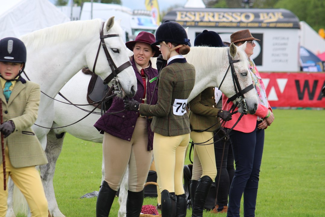 In pictures - 35 photographs from the equestrian classes at Balmoral ...