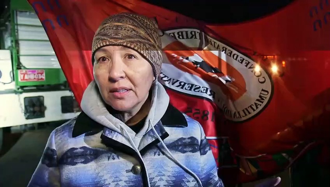 Necessity: Climate Justice & The Thin Green Line | movie | 2022 ...