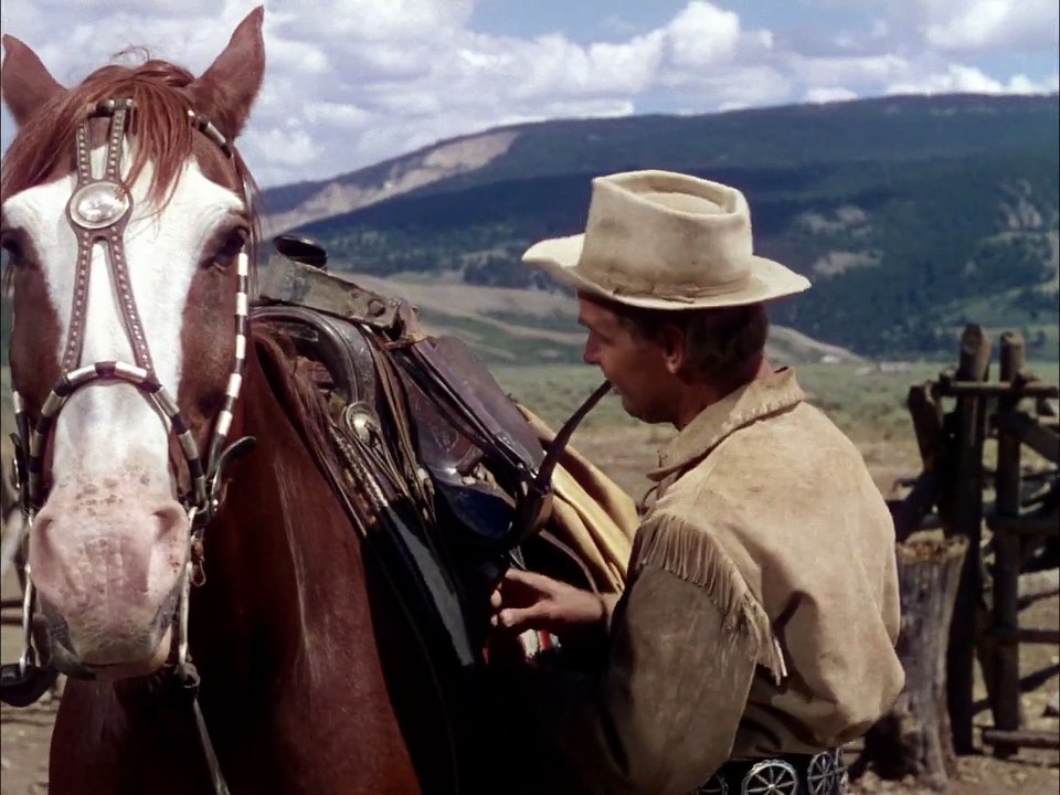 Shane 1953 Alan Ladd Video Dailymotion