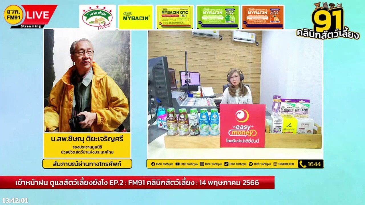 เข้าหน้าฝน ดูแลสัตว์เลี้ยงยังไง EP.2 : FM91 คลินิกสัตว์เลี้ยง : 14 พฤษภาคม 2566 - video Dailymotion